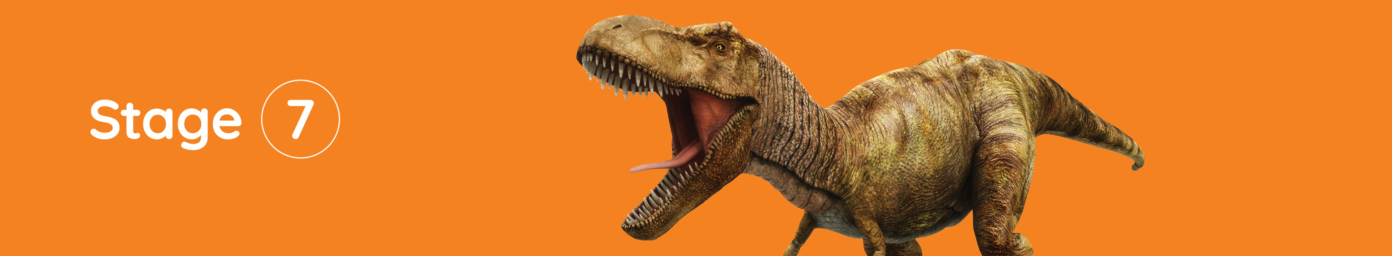 Stage 7 Unit 1-5 Decodable Activities | LLLL