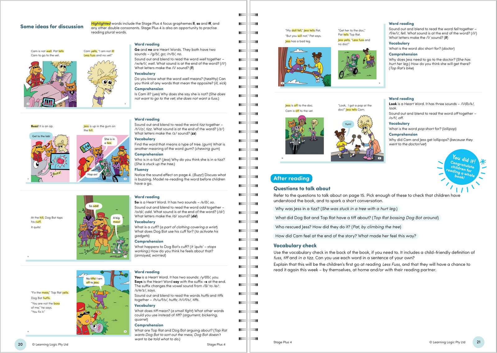 Wild Detectives Small Group Reading Notes Stages Plus 4, 5, 6 (PRINT