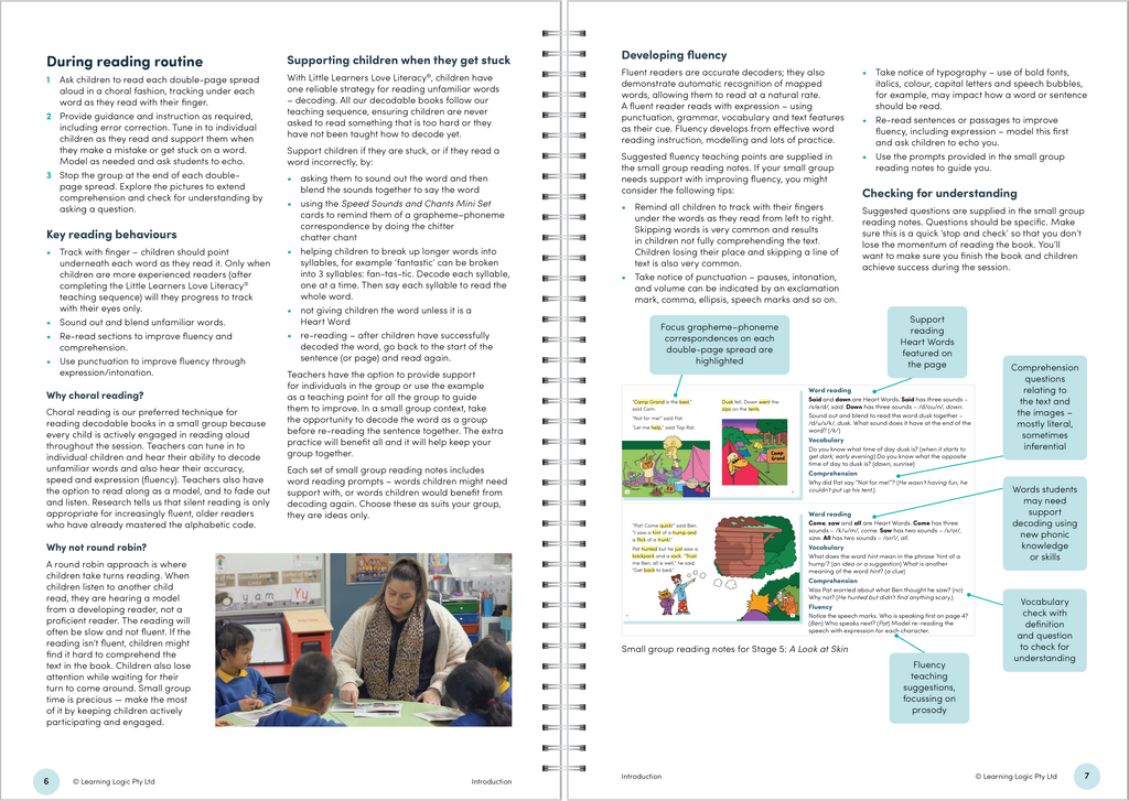 Wild Detectives Small Group Reading Notes Stages Plus 4, 5, 6 (PRINT