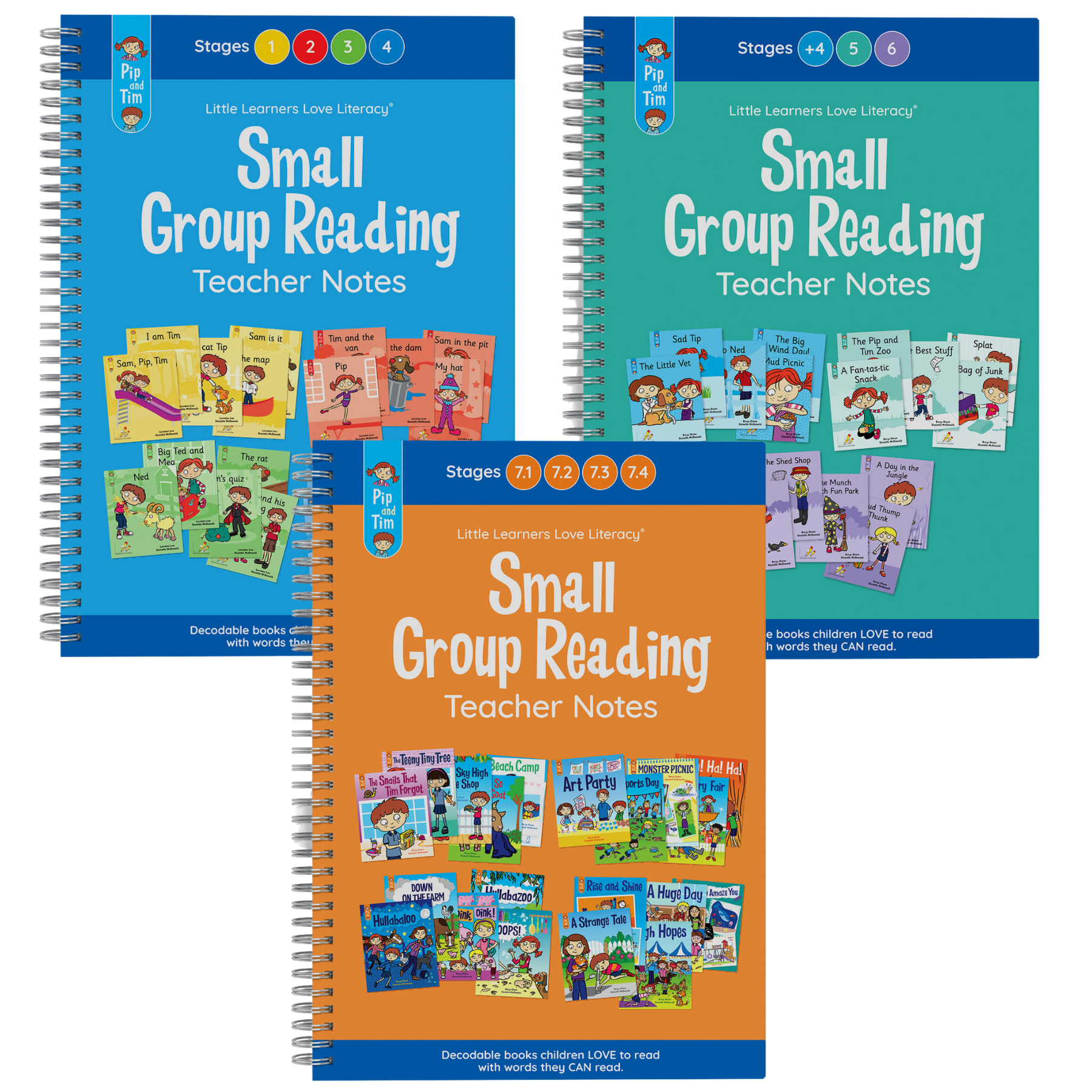 Small Group Reading Notes | Classroom Reading Resources