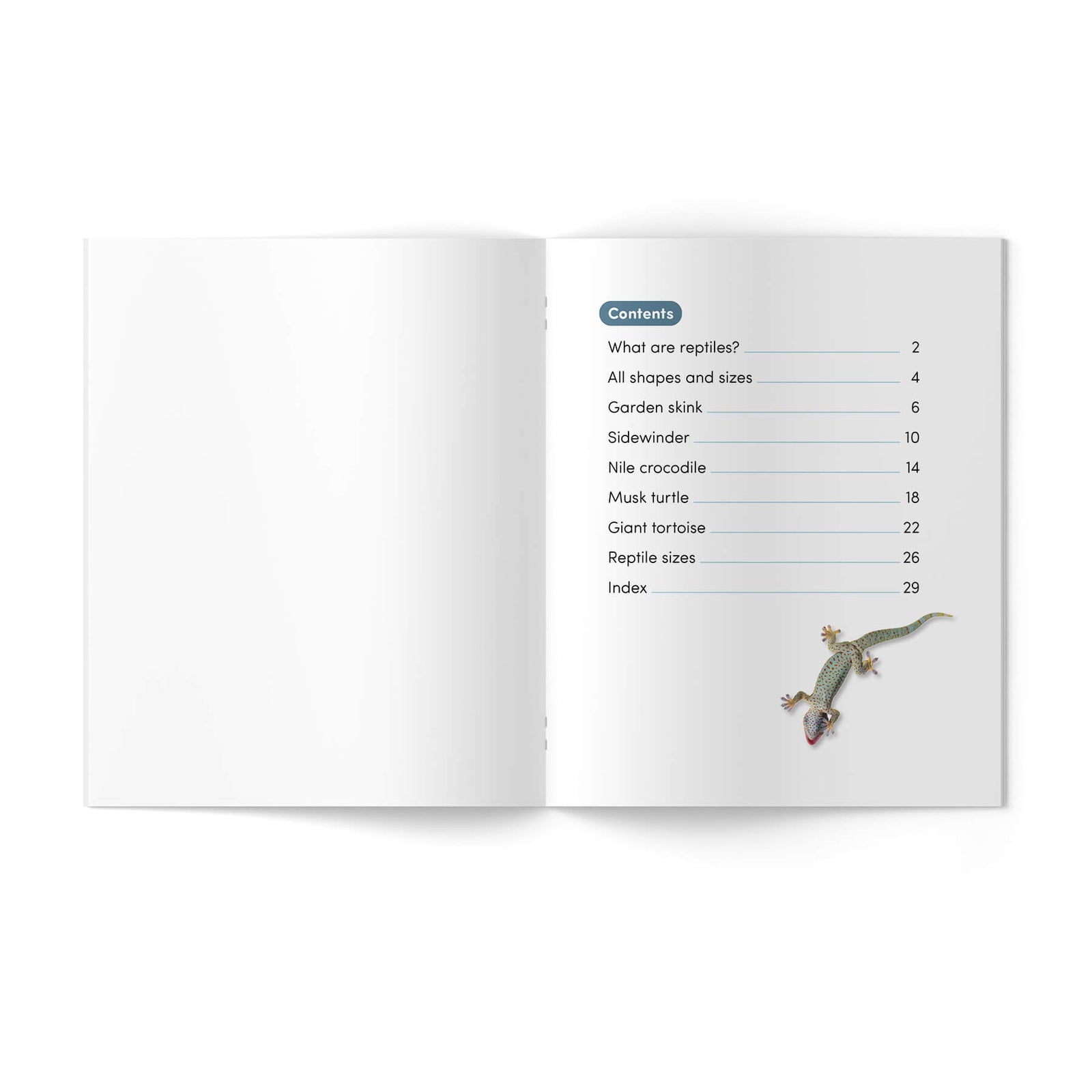 Little Learners, Big World Nonfiction Stage 7 Unit 4 | Decodable Books