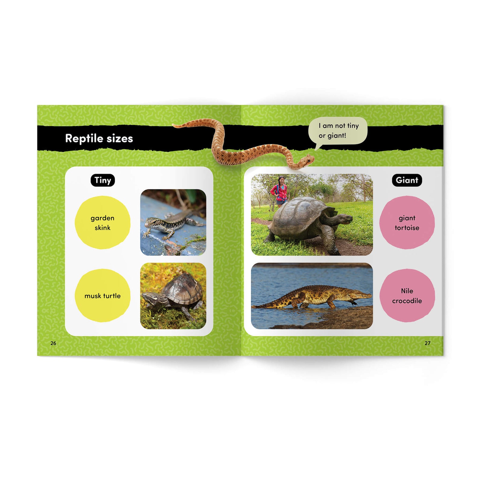 Little Learners, Big World Nonfiction Stage 7 Unit 4 | Decodable Books