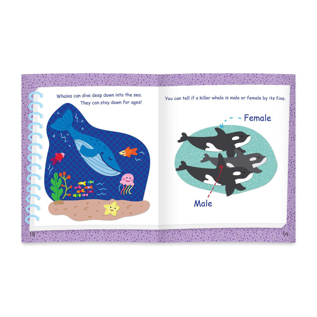 Pip and Tim Stage 7 Unit 4 | Decodable Books