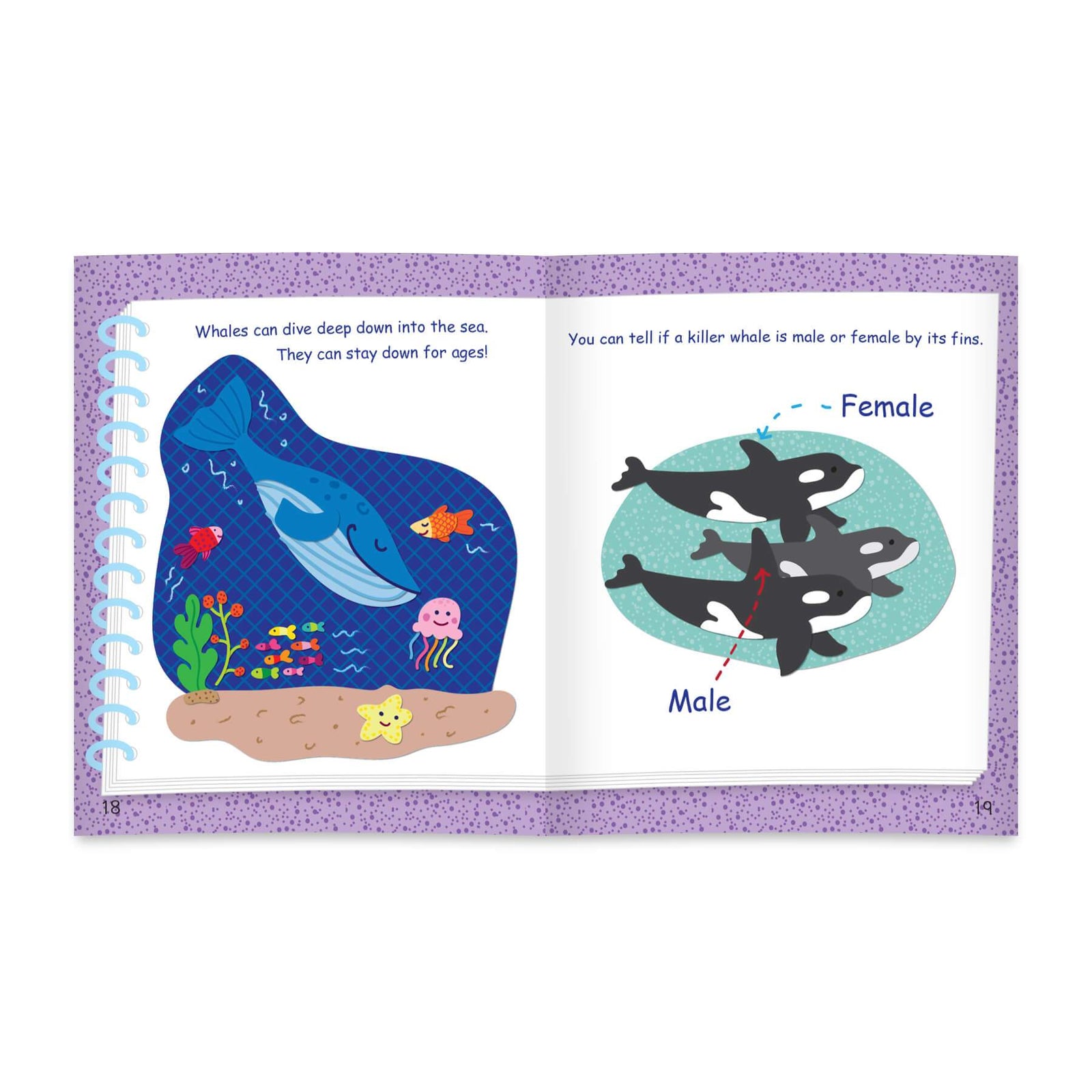 Pip and Tim Stage 7 Unit 4 | Decodable Books